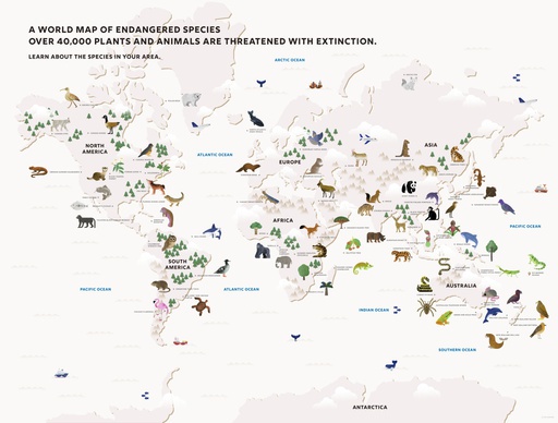 A World Map of Endangered Species｜Stroly（ストローリー）